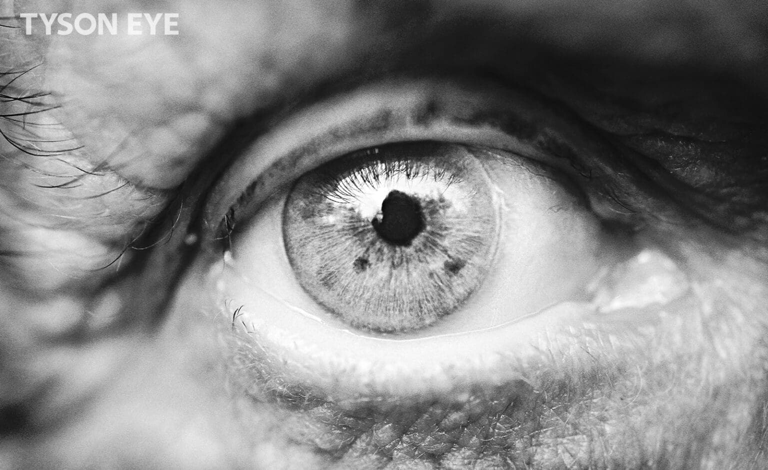 Tyson Eye - Your Trusted Eye Care Experts | Southwest Florida