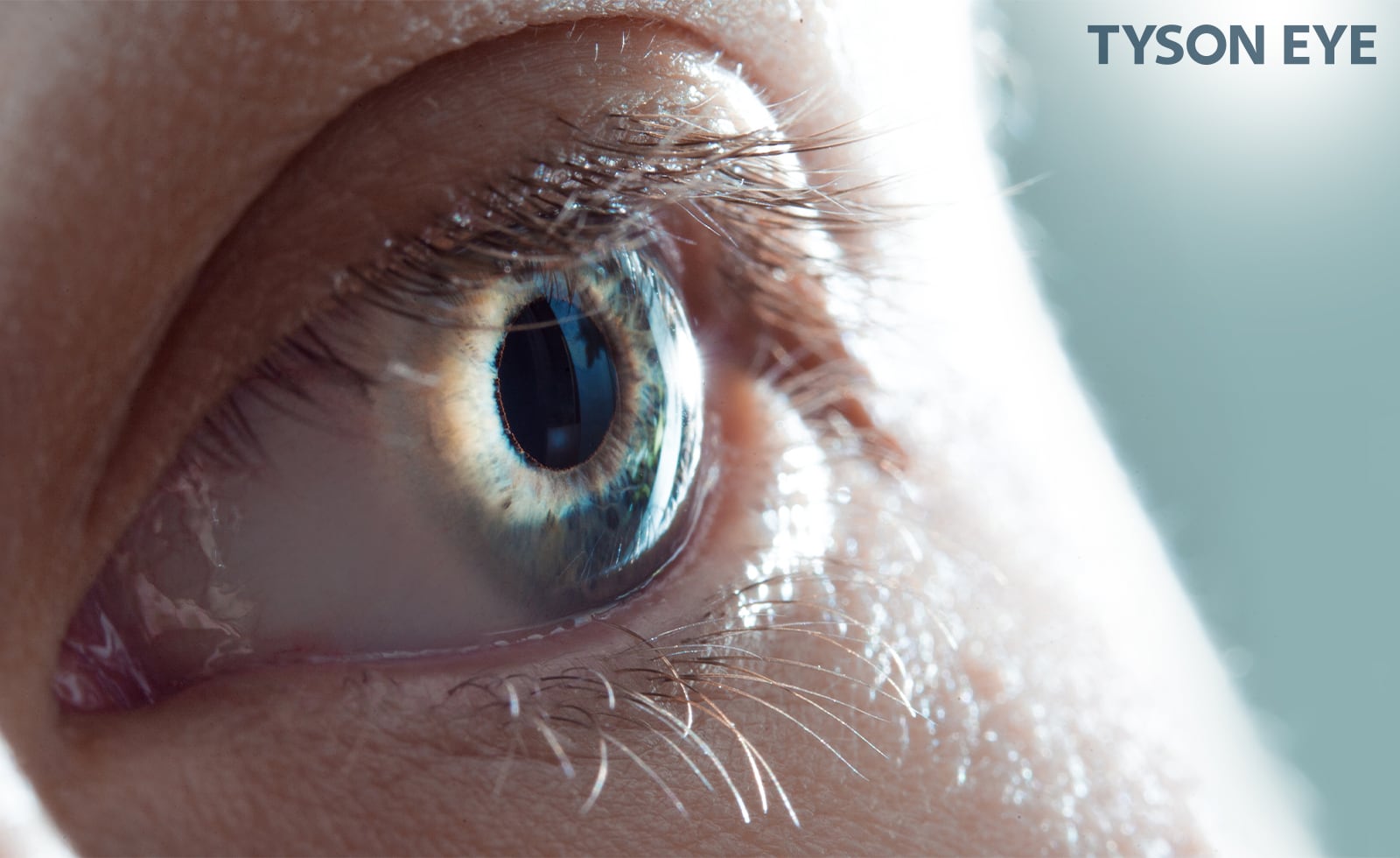 Understanding the Cornea & How It Helps You See - Tyson Eye